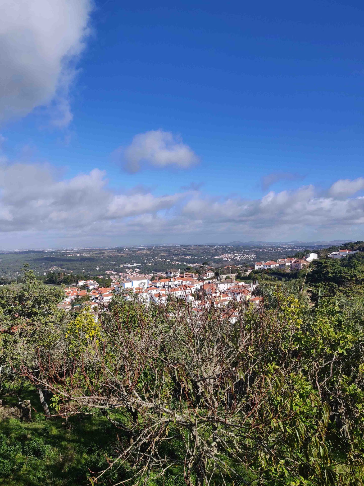 Do Mar à Serra – Praia da Adraga ao Penedo - GreenTrekker.pt