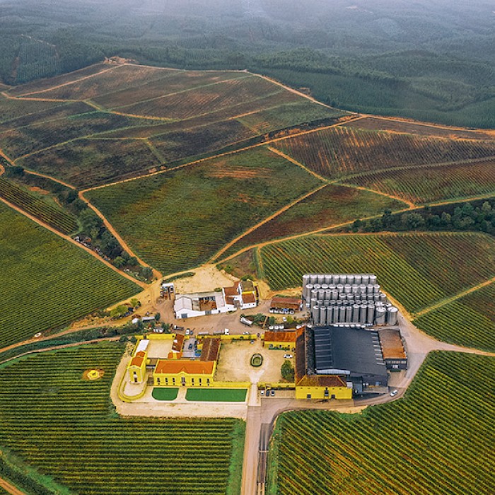 8ª Rota dos Vinhos: Quinta do Gradil - GreenTrekker.pt