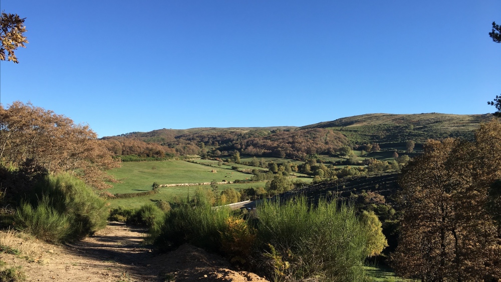 De Pitões das Júnias á Pedra Laço - PNPG - GreenTrekker.pt