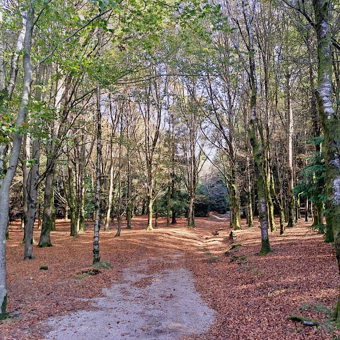 Mesa dos 4 Abades - Vilar do Monte - GreenTrekker.pt