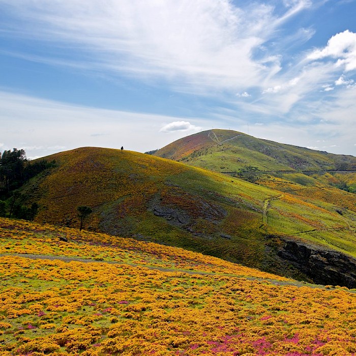 À descoberta da Serra do Marão e alto Douro - GreenTrekker.pt