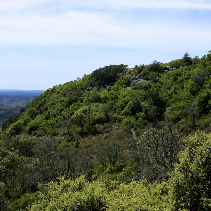 Serra de Alvaiázere e Fórnea do Bofinho - GreenTrekker.pt