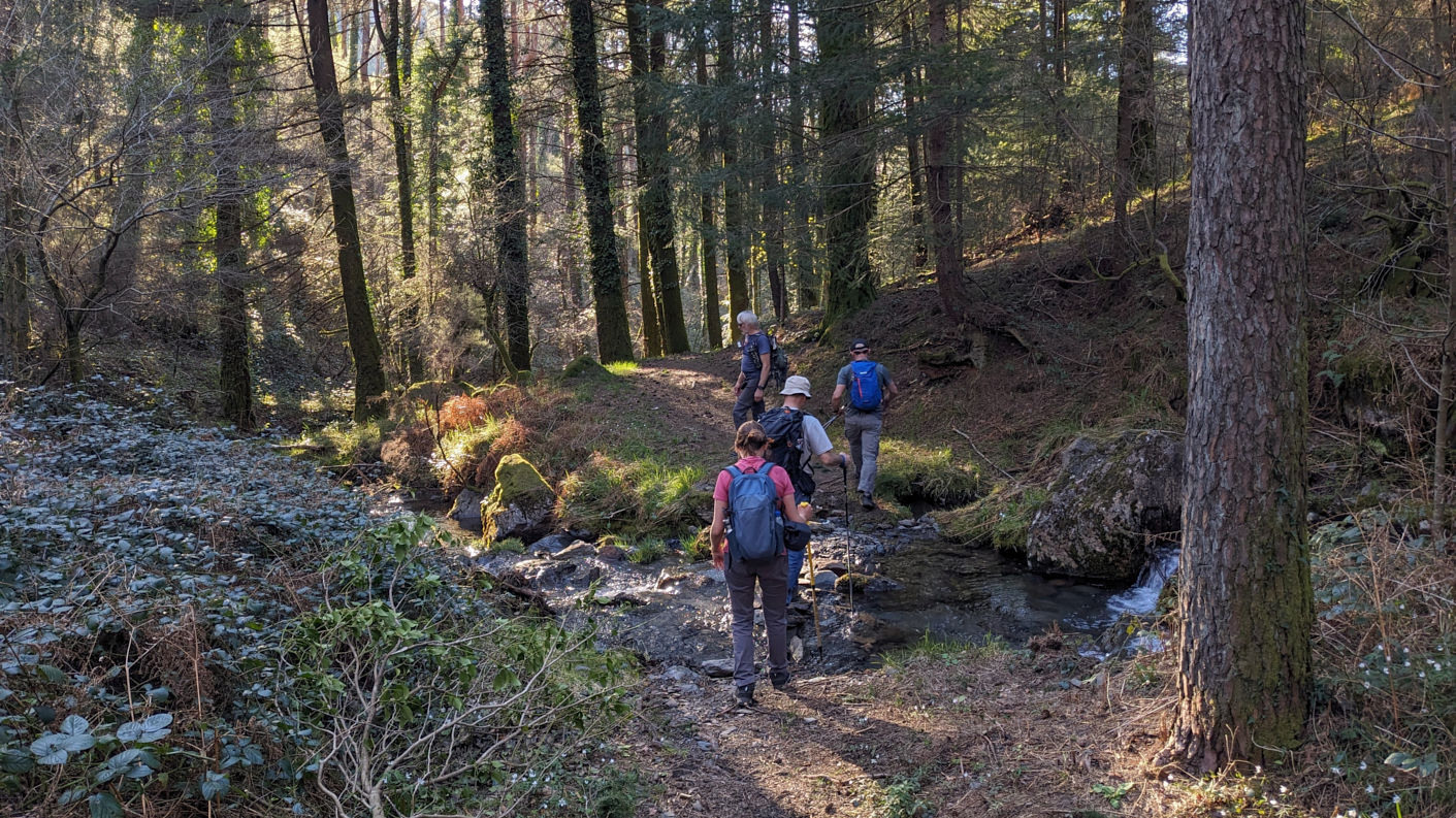Hard Trekking - Bosques do Marão - GreenTrekker.pt