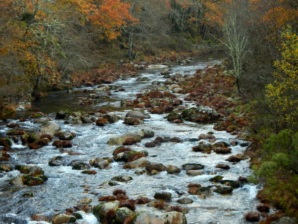 Fisgas de Ermelo - Parque Natural do Alvão - GreenTrekker.pt