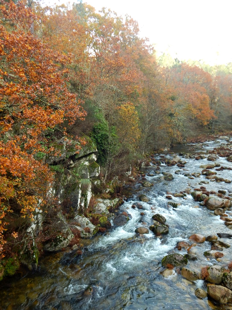 Fisgas de Ermelo - Parque Natural do Alvão - GreenTrekker.pt