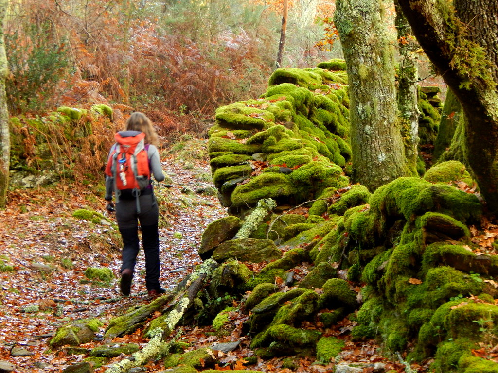 Fisgas de Ermelo - Parque Natural do Alvão - GreenTrekker.pt