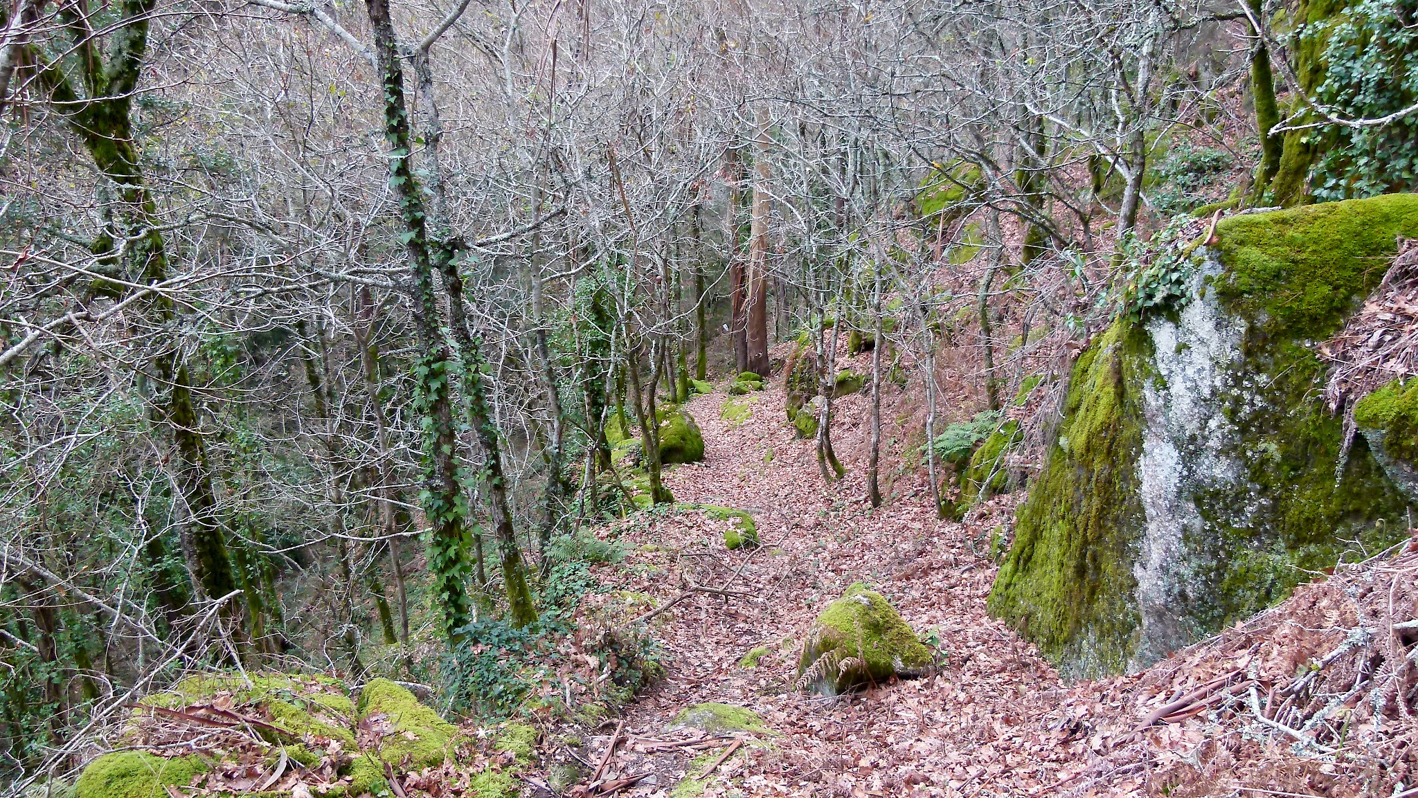 À descoberta da Serra do Caramulo - GreenTrekker.pt
