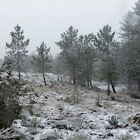 À descoberta da Serra do Caramulo - GreenTrekker.pt