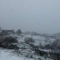 À descoberta da Serra do Caramulo - GreenTrekker.pt