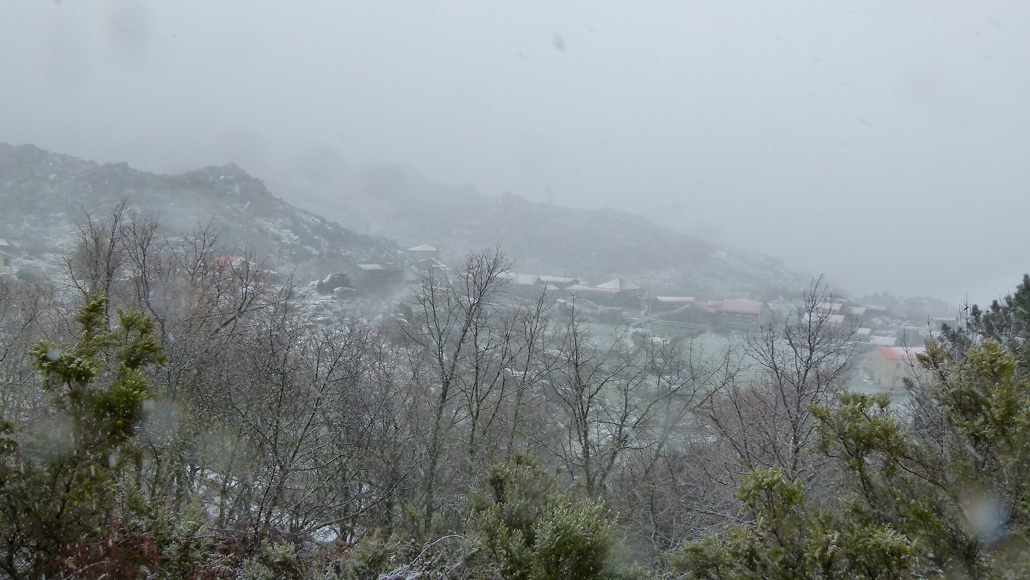 À descoberta da Serra do Caramulo - GreenTrekker.pt