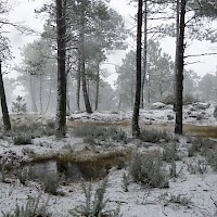 À descoberta da Serra do Caramulo - GreenTrekker.pt