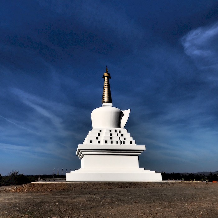 Visita ao Templo Budista Stupa Tashi Gomang - GreenTrekker.pt