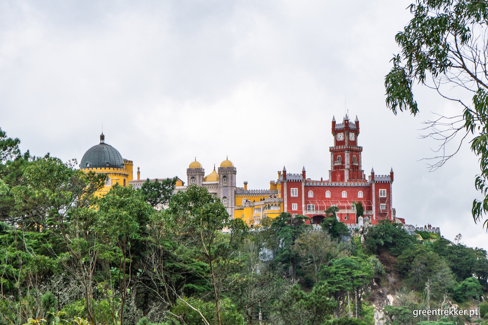 Entre a Floresta e os Monumentos de Sintra - GreenTrekker.pt