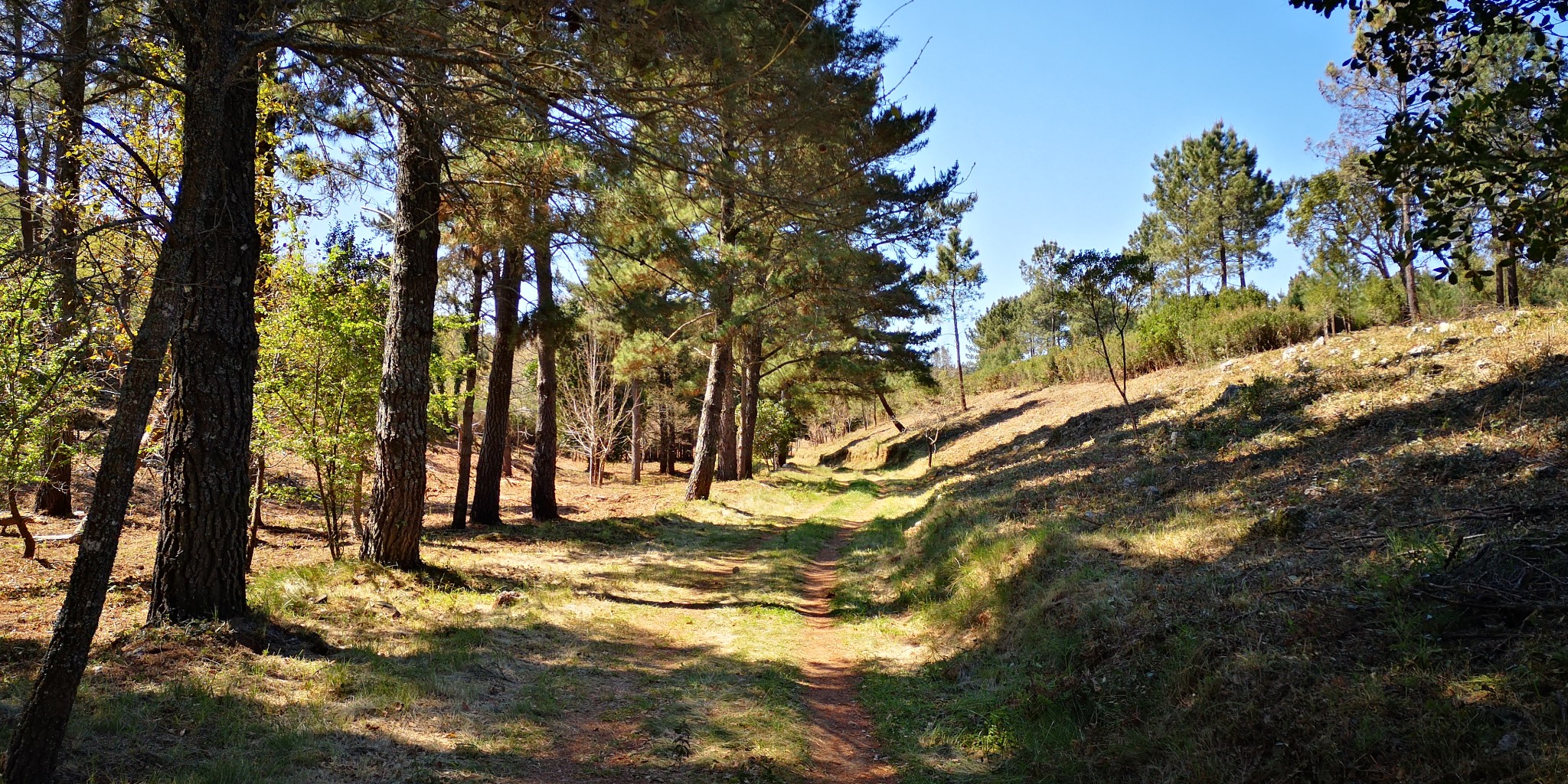 Do Monte da Farinha ao Cabeço da Raposa/Serra de Montejunto ...