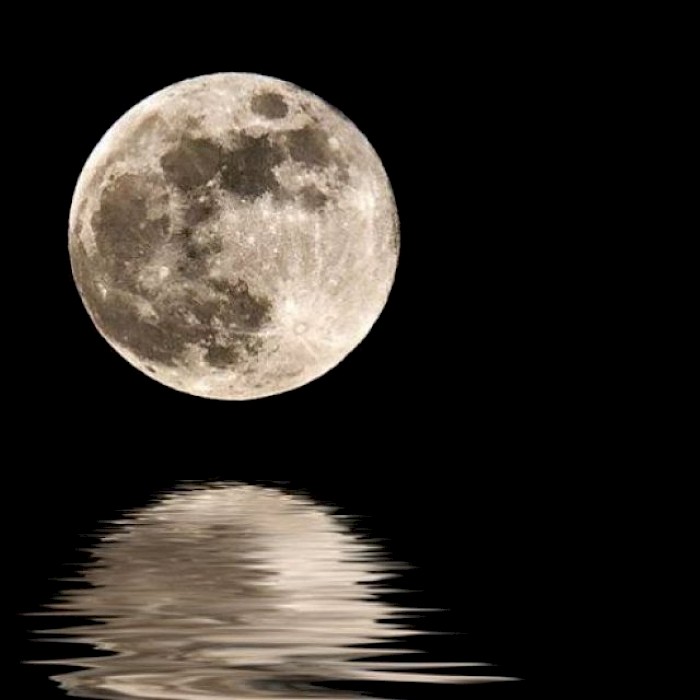 Caminhada de Lua Cheia na Ilha do Baleal - GreenTrekker.pt